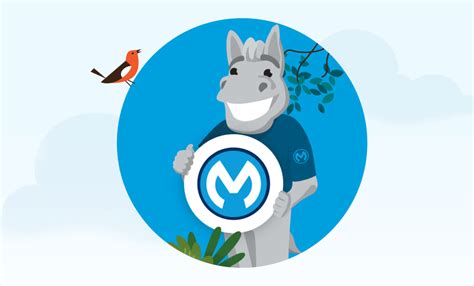 Mulesoft Automate Anything Empower Everyone