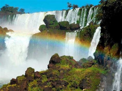 Pantanal And Iguazu Tour Brazil Responsible Travel