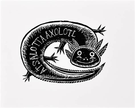 Atsalotta Axolotl Mltshp