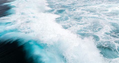 Feel To Heal A 3 Step Framework To Turn Emotional Overwhelm Into Clarity By By Erica Bianca