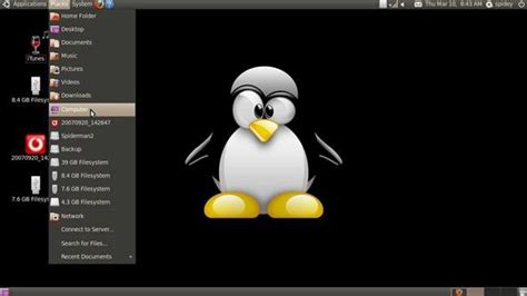 How To Find The Temporary Flash Video File In Ubuntu 1004 Operating