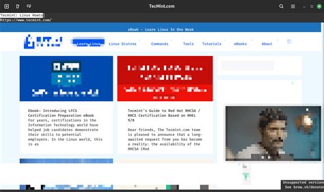 Linux 的前 5 个命令行浏览器 Techsyncer