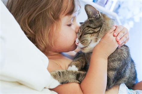 Do Cats Understand Kisses