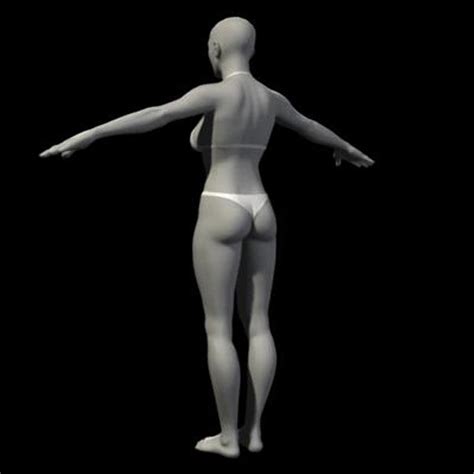 Basic Female Mesh D Model