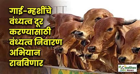 Government Resolutions वंध्यत्व निवारण अभियान राबविणार
