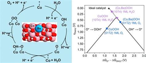 Doping Shortens The Metal Metal Distance And Promotes Oh Coverage In