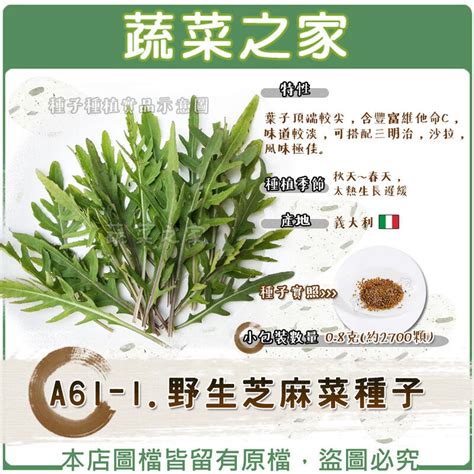 【蔬菜之家滿額免運】a61 1野生芝麻菜種子08克約2700顆 葉子頂端較尖，含豐富維他命c，味道較淡 露天市集 全台最