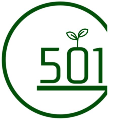 観葉植物の葉が黄色くなる原因と対策対処法位置別に詳しく解説 501GARDEN