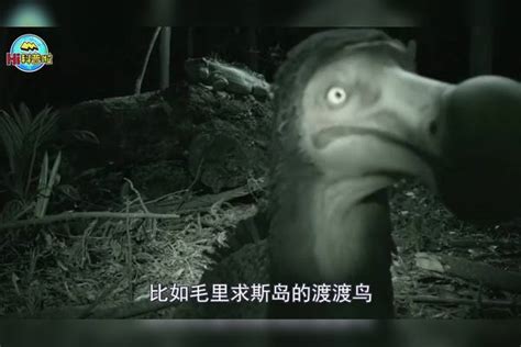 地球上已经灭绝的物种，如果全部复活，会发生什么？