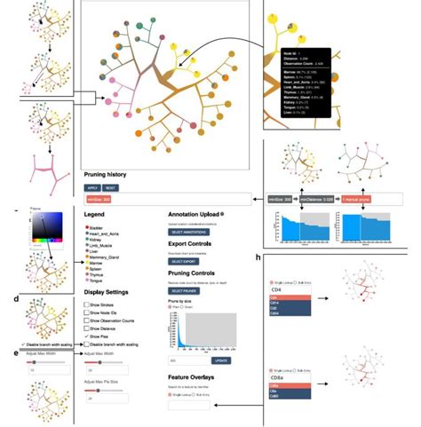 Association For Single Cell Analysis Asca On Linkedin Spatialomics