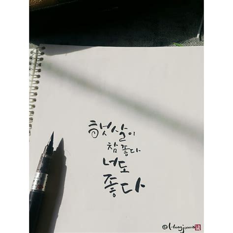 홍줌마의 캘리그라피 캘리일기 따사로운 햇살이 나한테로 와서 어깨를 토닥토닥 포근포근한 햇살이