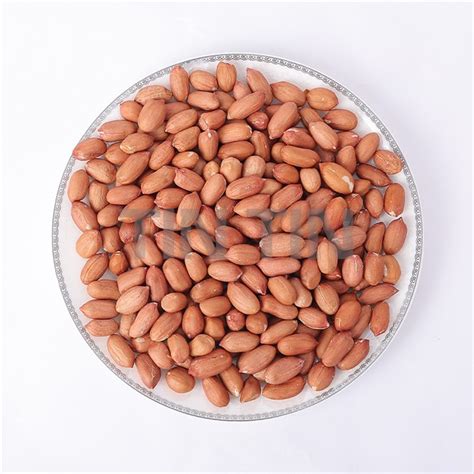 China Groundnut Kernels Manufacturers Suppliers Factory Bulk