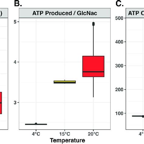 Predictions Of Metabolic Efficiency By The Temperature Dependent