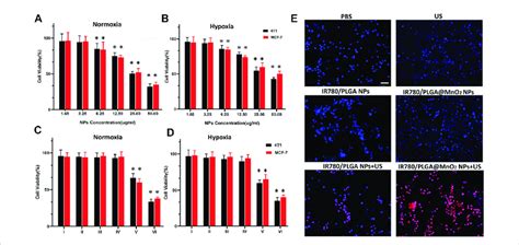 Ab Cell Viability Of 4t1 And Mcf 7 Cells Incubated With Different