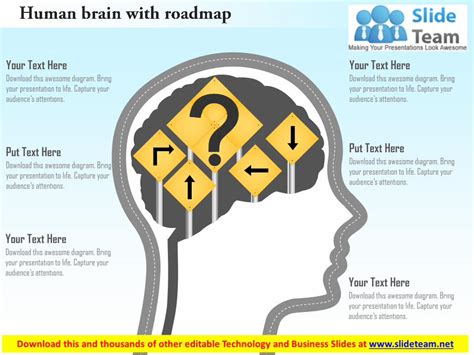 Pdf Human Brain With Roadmap Powerpoint Template Dokumen Tips