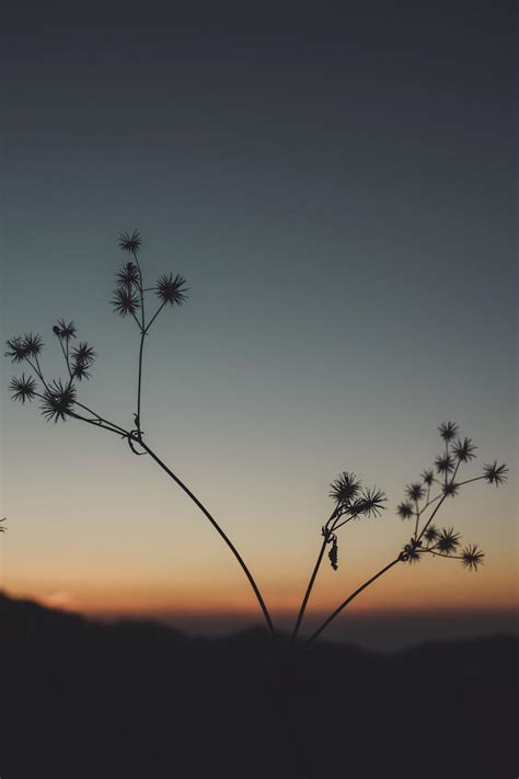 집 밖의 ~을 사용하여 Lofi 미적 배경 가벼운 건물 경치 고립된 고요한 공부하다 관광 깨지기 쉬운