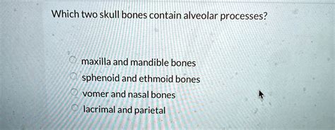 Which Two Skull Bones Contain Alveolar Processes Maxilla And Mandible