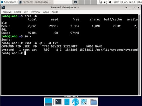 Instalar a distribuição Debian GNU Linux sem Systemd