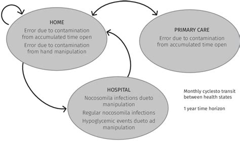 Conceptual Scheme Of The Model With Transitions Download Scientific