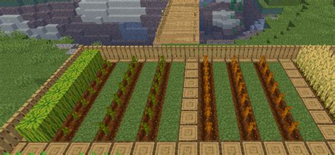 Why Rminecraftunlimited