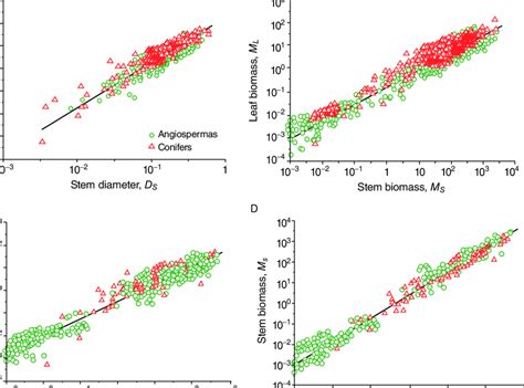 3 Global Allometric Relationships In Biomass Partitioning Across