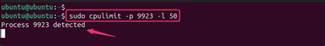 How To Limit Cpu Usage Of A Process In Linux With Cpulimit With Examples