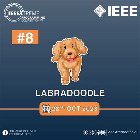 Ieeextreme17 Challengeunveiled Codingexcellence Codingchallenge
