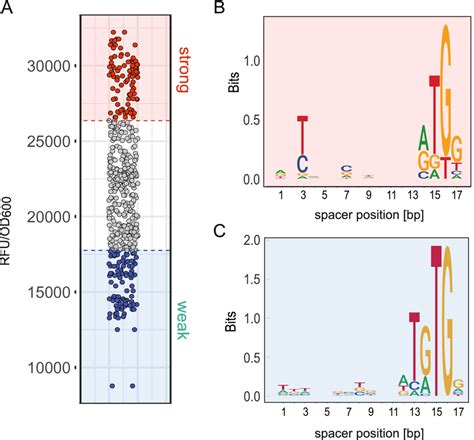 Selection For Weak Promoters With Optimal Spacing A Selection Of The Download Scientific