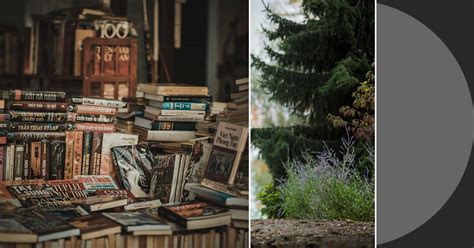 List Self Publishing Curated By Cass Roman Medium