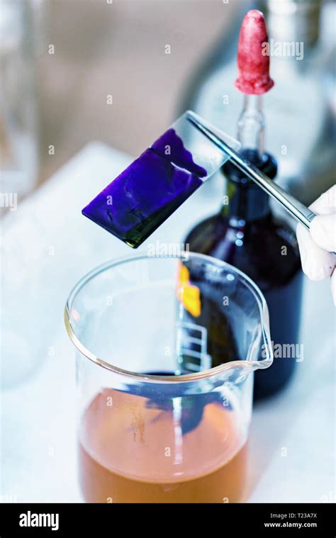 Microbiology Laboratory Work Stock Photo Alamy