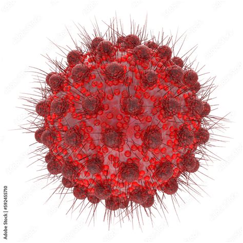 Coronavirus Ncov Flu Infection D Medical Illustration Microscopic View Of Floating