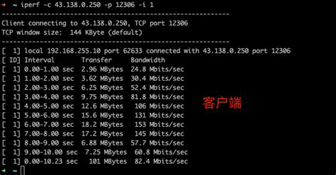 Linux发送tcpudp请求linux发送udp包命令 Csdn博客