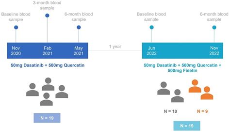Exploring The Effects Of Dasatinib Quercetin And Fisetin On Dna