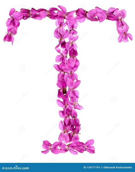 Letra T Del Alfabeto De Las Flores De La Violeta Aisladas En El Fondo
