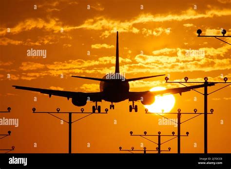 Plane Landing At Sunset