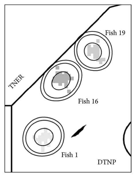 Configuration Of Simulated Acoustic Array White Circles Relative To Download Scientific