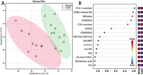 Effect Of Dietary Branched Chain Amino Acid Bcaa Supplementation On