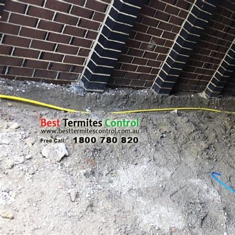 Termite Reticulation System Best Termites Control