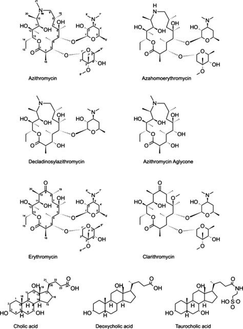 Structures And Numbering Schemes For The Macrolides And Bile Acids Used Download Scientific
