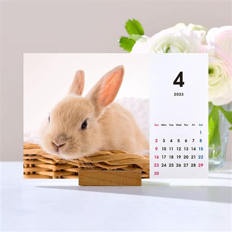 Tolot トロット On Twitter Rt Tolotcom 【4月はじまり】卓上カレンダー📅 自分用にも贈り物にも大