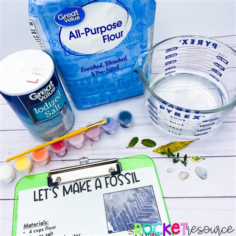 How To Make A Plant Fossil The Rocket Resource