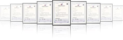 赛宁网安 基于实战对抗和ai技术的新质数字安全公司