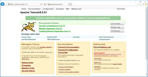 Apache Tomcat