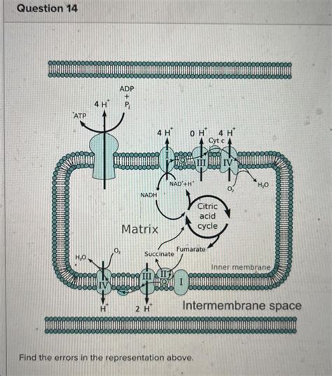 Solved Find The Errors In The Representation Above Chegg