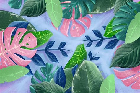 Pola Vektor Mulus Dengan Tanaman Tropis Eksotis Ilustrasi Stok Unduh