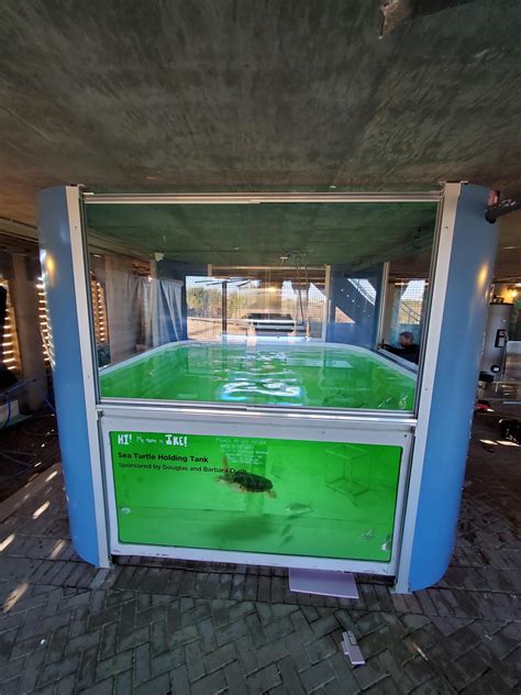 Update Ike The Sea Turtles Tank Insulation And Framing Is Finally