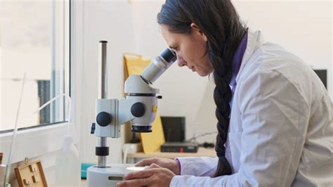 Sinus Infection Cold Or Allergies How To Tell The Difference
