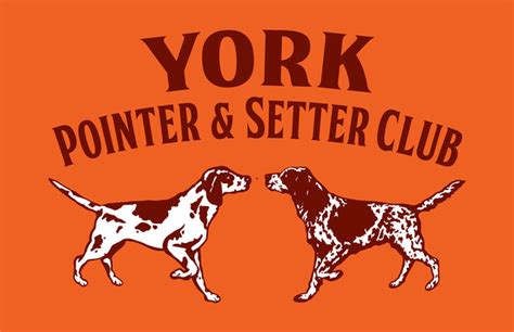 York Pointer And Setter Club Wellsville Pa