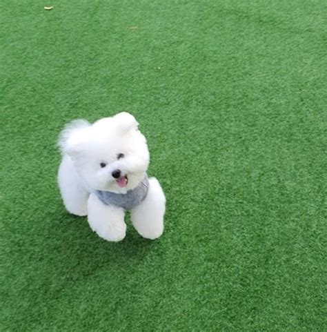 Thdcksgur John GitHub