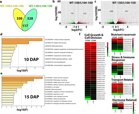 Distribution And Classification Of Differentially Expressed Genes In Download Scientific